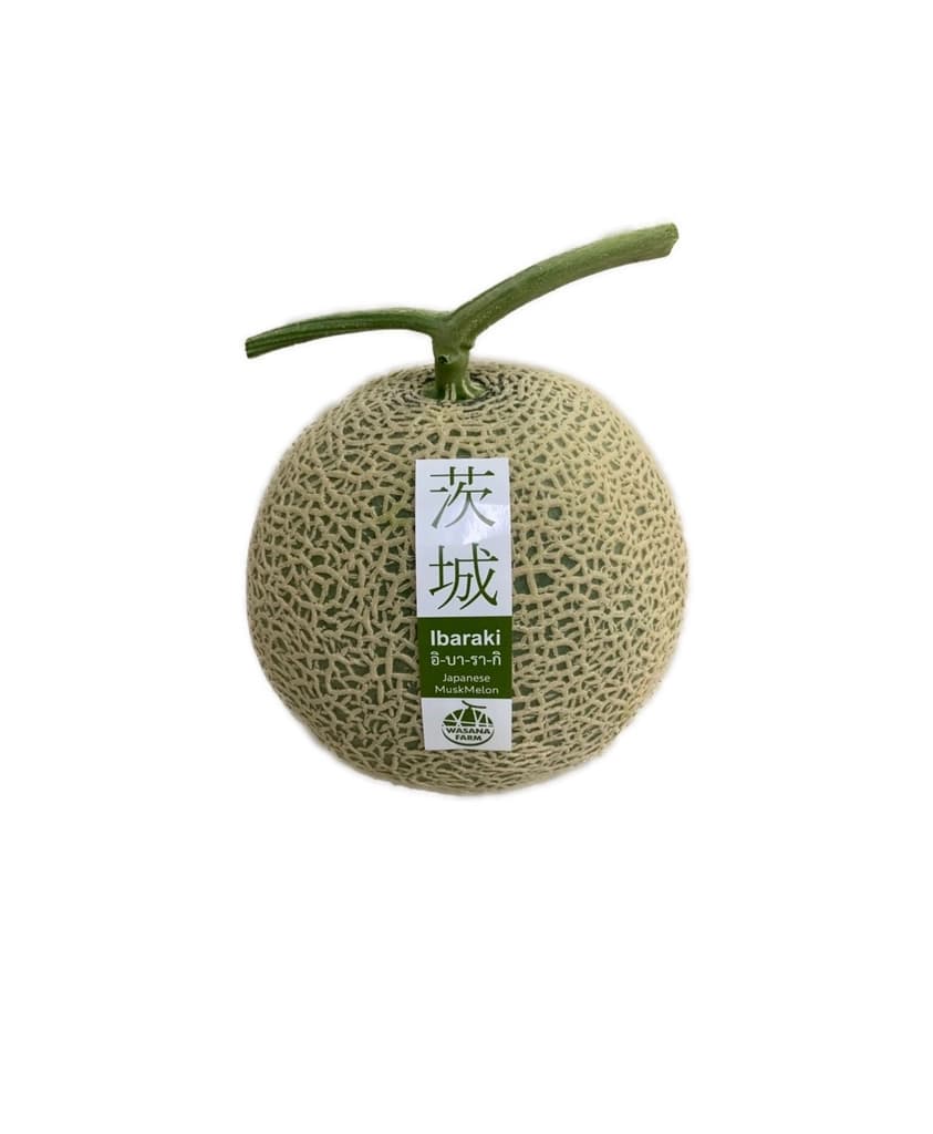 Farm Fresh Ibaraki Japanese Melon