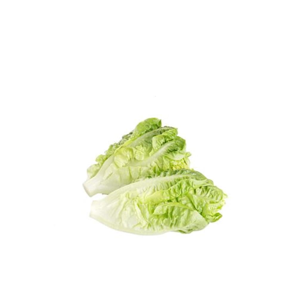 Junkapak Mini Cos Lettuce 100G.